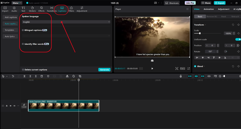 How to Add Captions and Subtitles to YouTube Videos